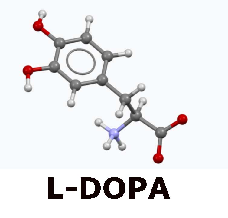L-DOPA and Carbidopa – Parkinson's and Me